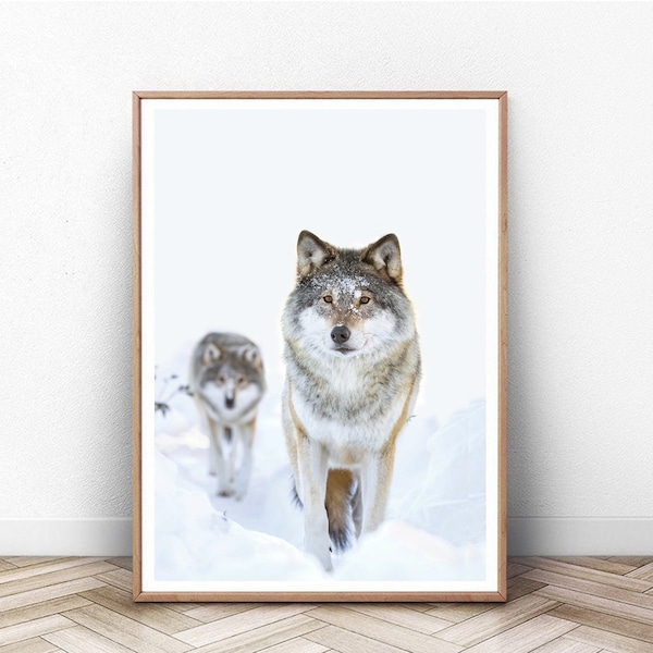 Gray Wolf Art - Etsy