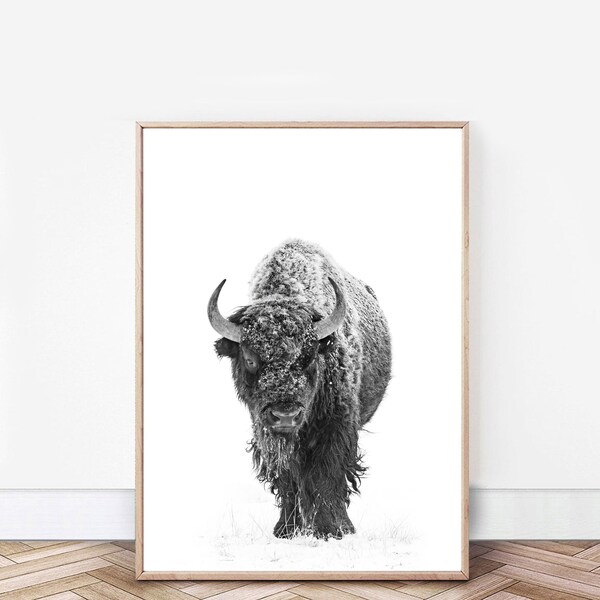 Bison Print - Etsy