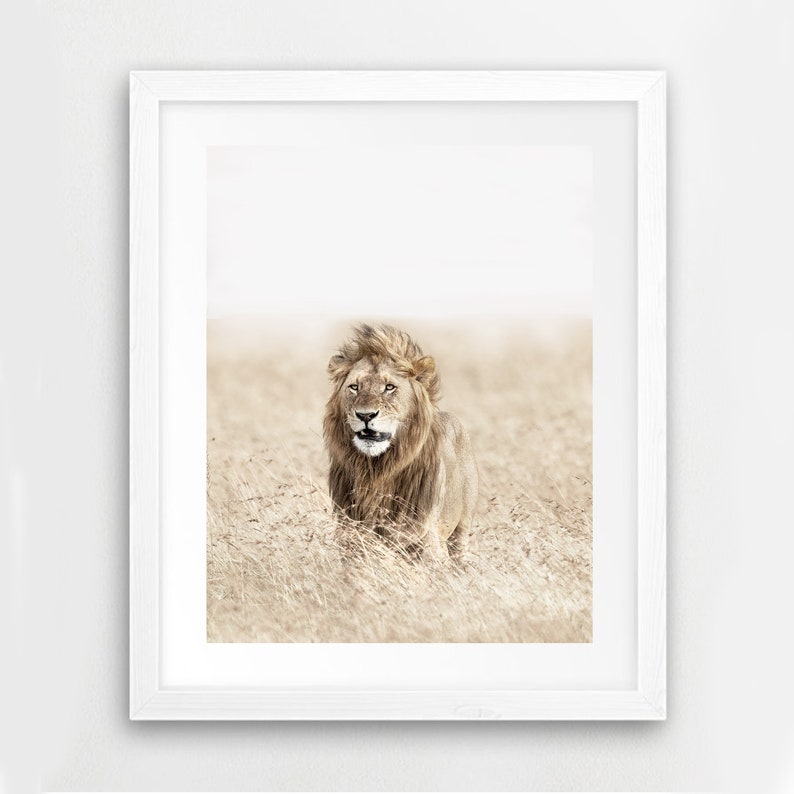 Lion Print Lion Printable Wall Art Lion Digital Download 24x36 - Etsy