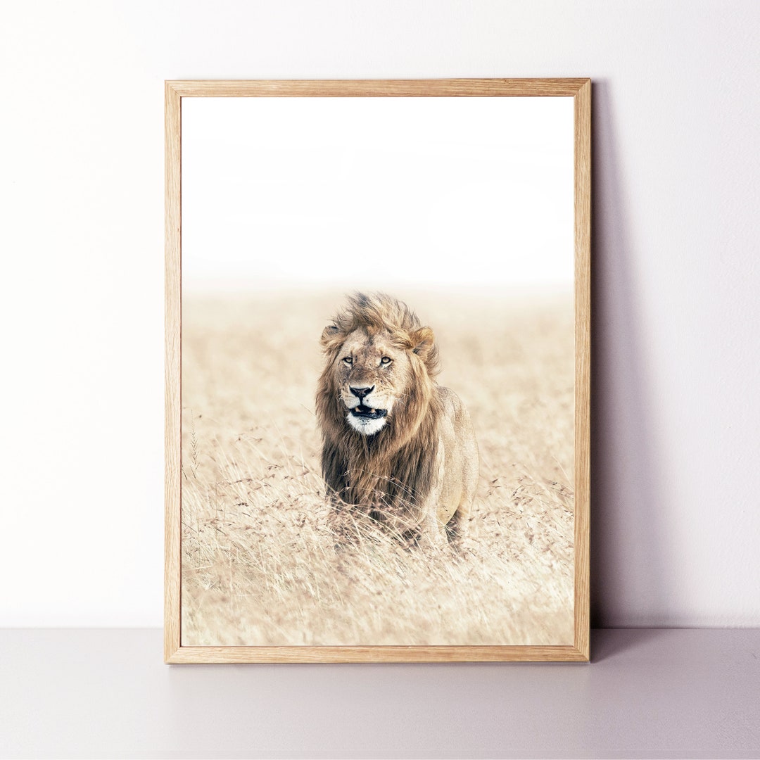 Lion Print Lion Wall Art Safari Animal 24x36 Print, Lion Photography ...