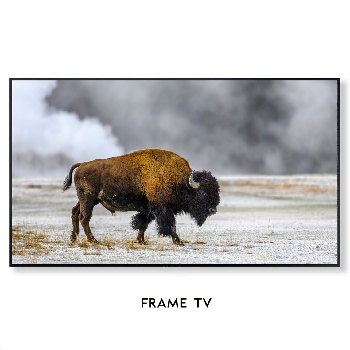 TV Art Bison Samsung Frame TV Art Buffalo Digital Download Art - Etsy
