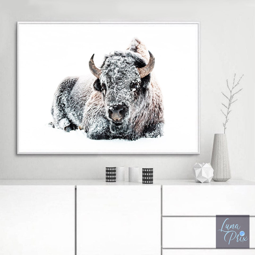 Bison Print Bison Snow Printable Wall Art Digital Download Cow Print ...