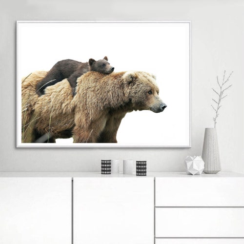 Download Printable Bear Cub Photo Digital Print - Etsy