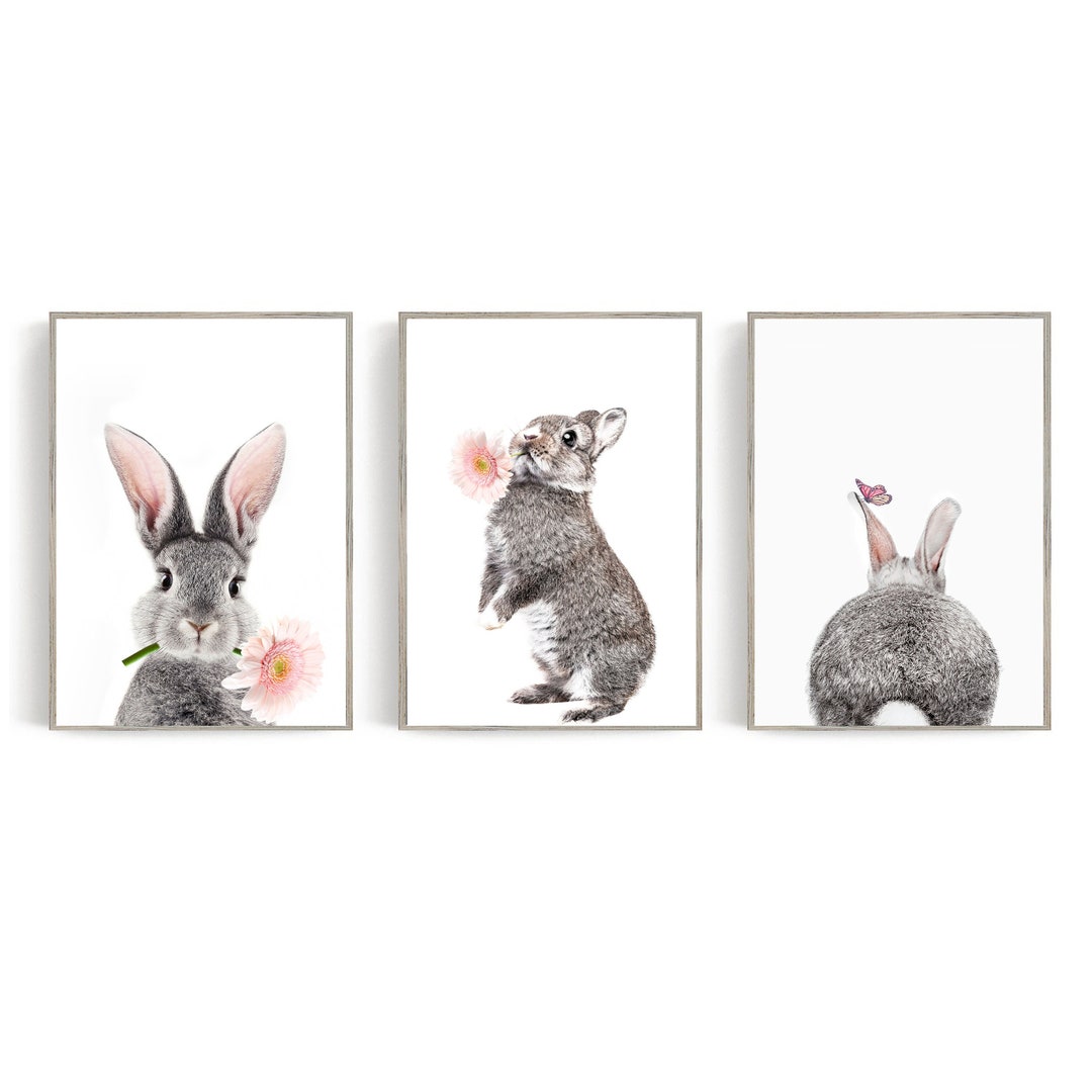 3 Piece Wall Art Bunny Nursery Bunny Rabbit Art Canvas Print Baby Girl ...
