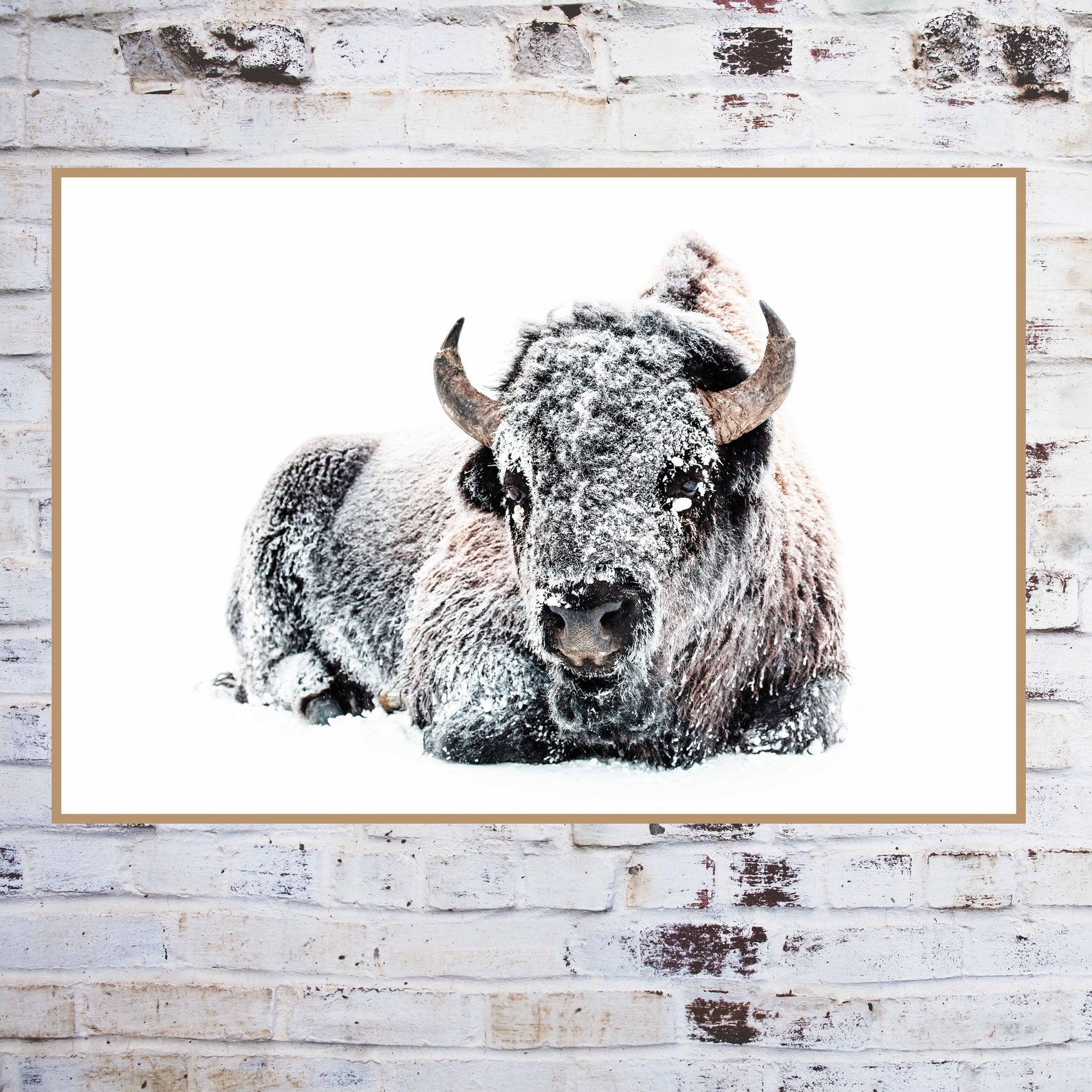 Bison Print Bison Snow Printable Wall Art Digital Download Cow - Etsy