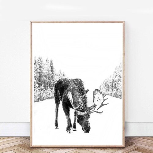 Moose Printable Art Moose Photography Black and White - Etsy