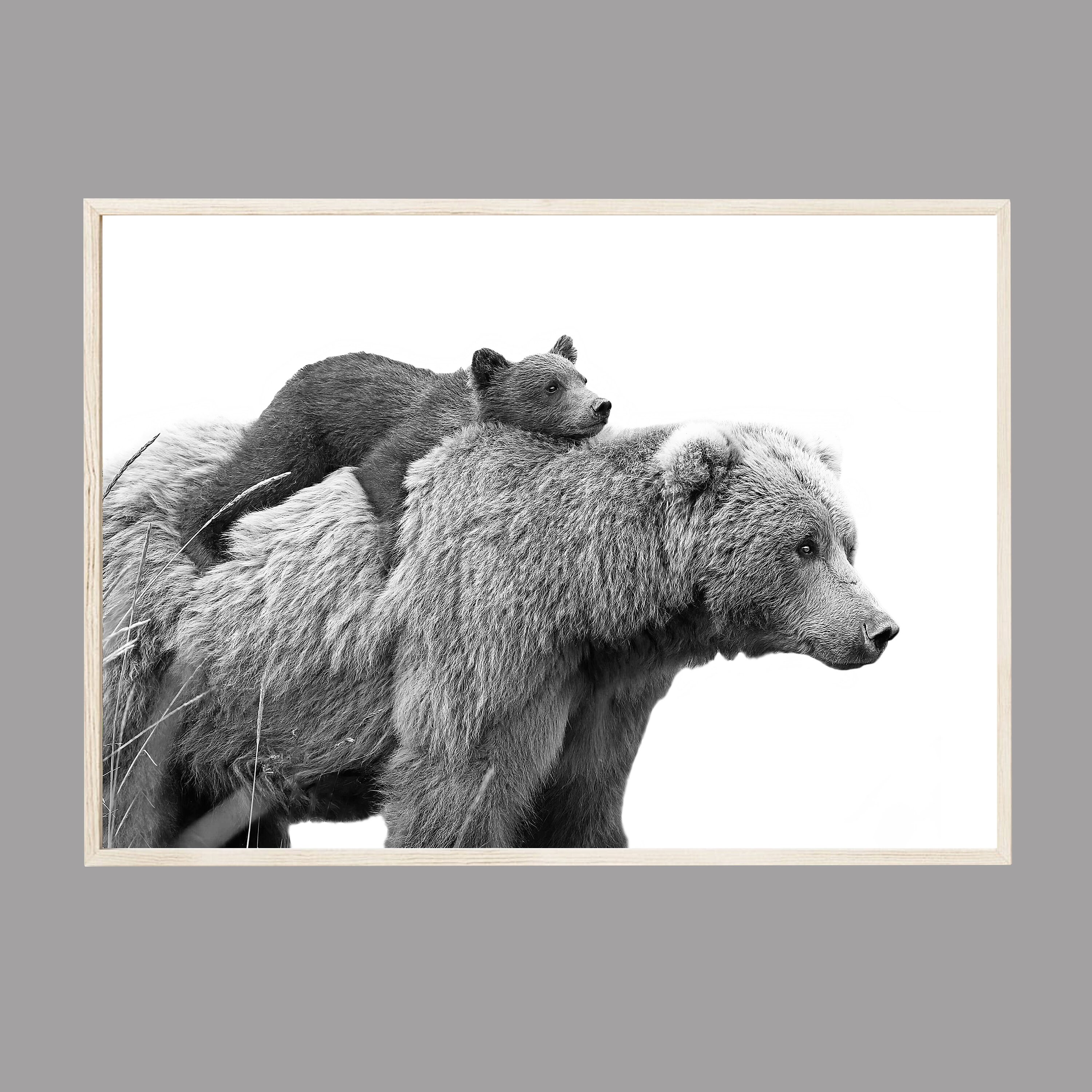 Bear Print Bear Cub Bear Wall Art Baby Animal Prints Digital - Etsy