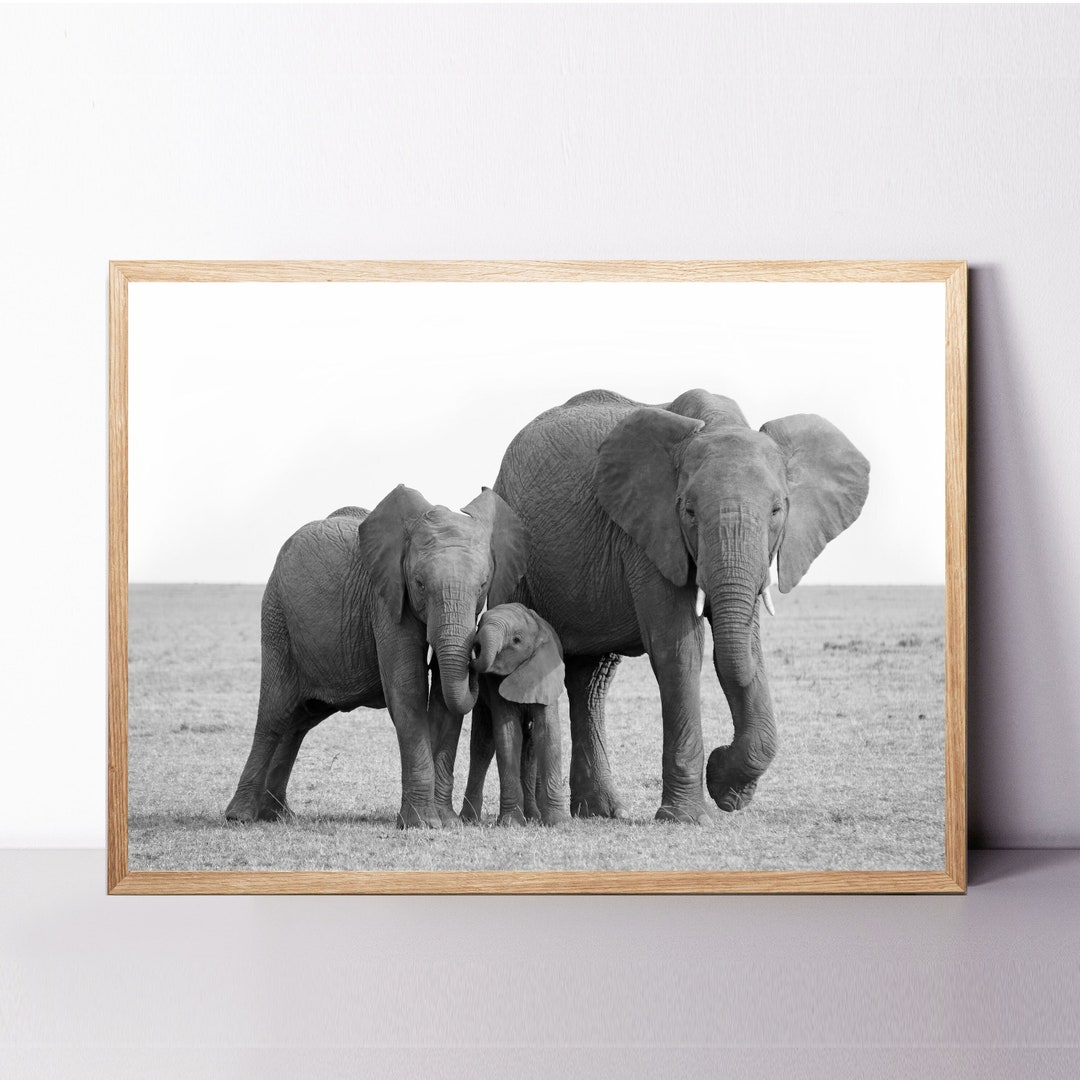 Elephant Print African Elephant Wall Art Elephant Poster, Herd ...