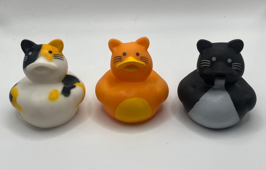 Personalizable Cat Rubber Duck. Kitten Rubber Duck With Name, Black Cat ...