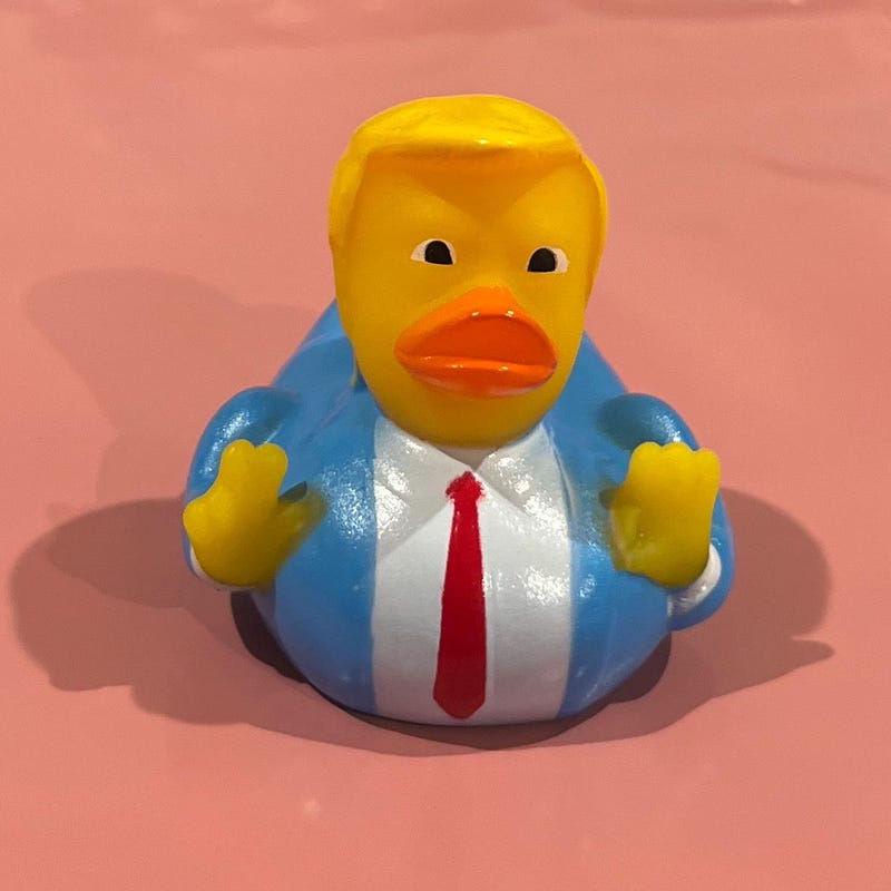 Trump Rubber Ducks - Etsy