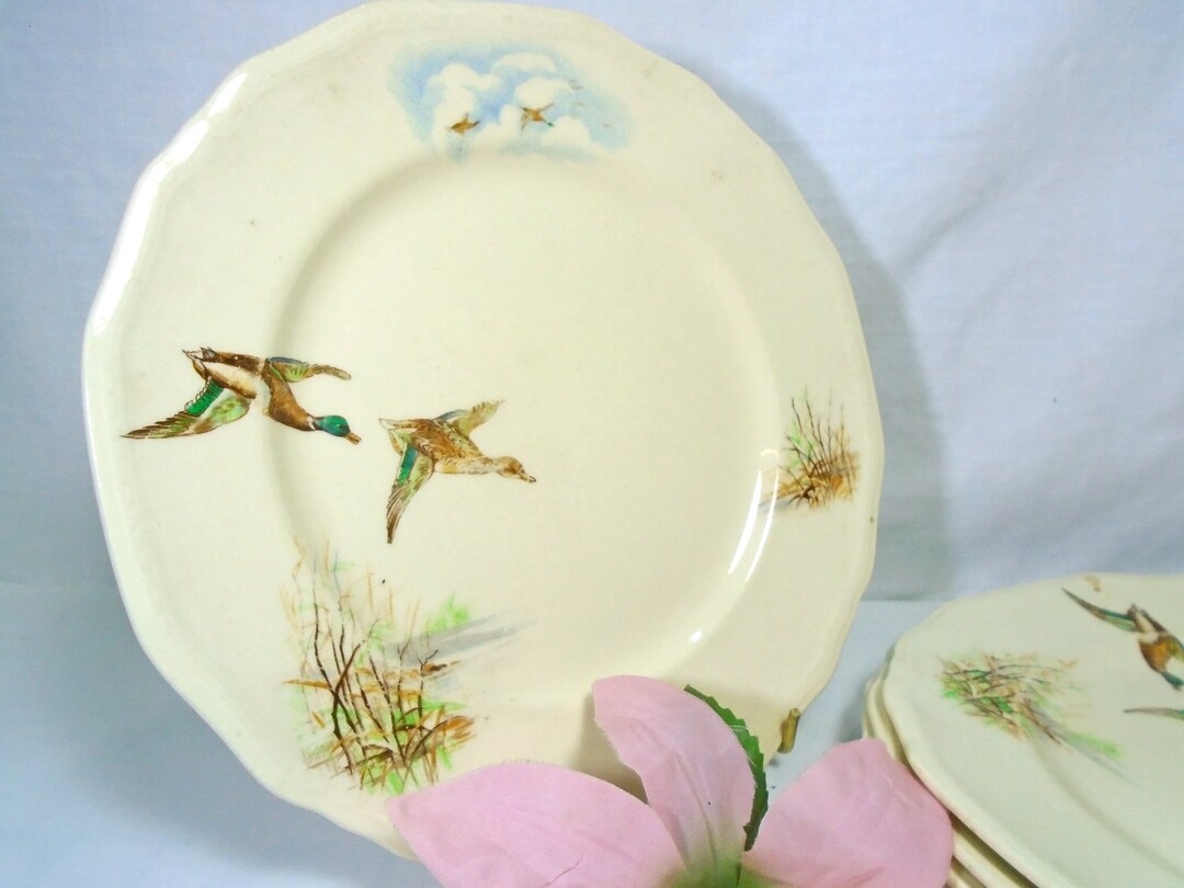 Alfred Meakin Wildfowl Plate, Early English Pottery, Diameter 8.66 ...