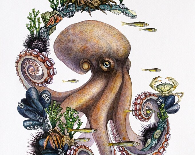 Animal Portrait, Octopus Poster, Octopus Wall Art, Beach House Poster ...