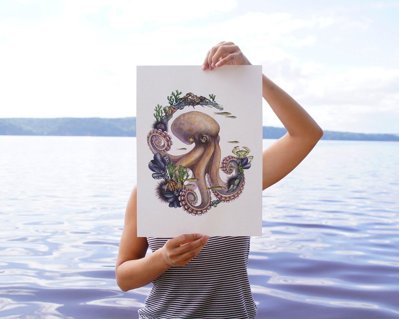 Animal Portrait Octopus Poster Octopus Wall Art Beach House - Etsy