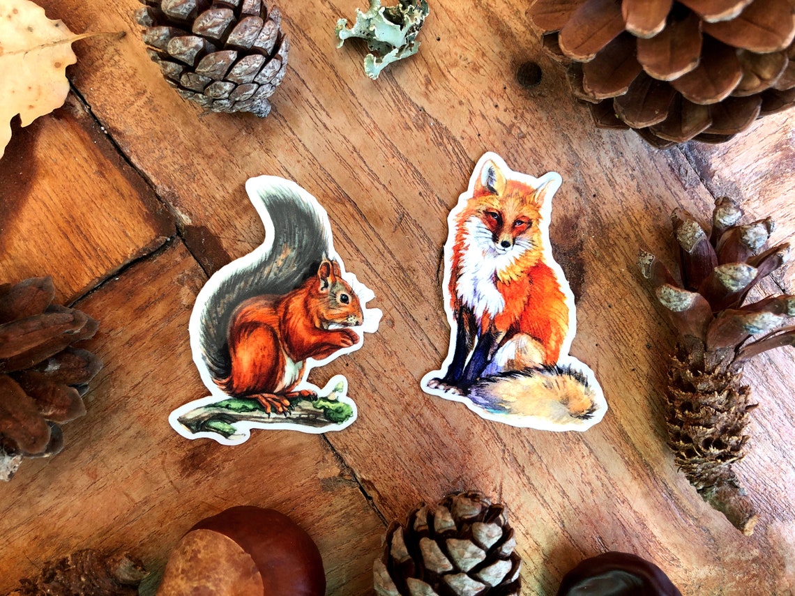 Forest Animals Vinyl Stickers Set Vinyl Animal Waterproof - Etsy