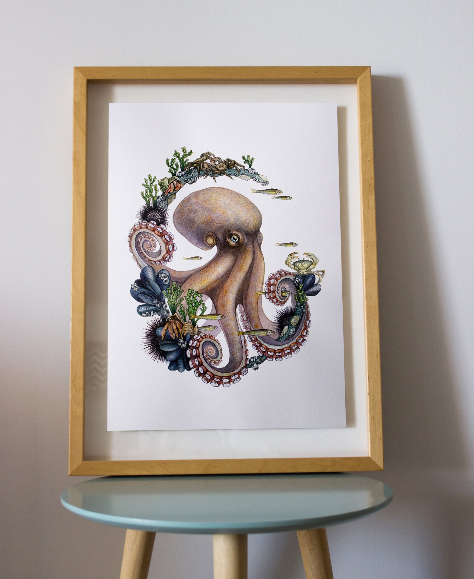 Animal Portrait Octopus Poster Octopus Wall Art Beach House - Etsy