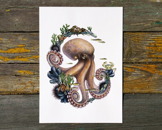 Animal Portrait Octopus Poster Octopus Wall Art Beach House | Etsy