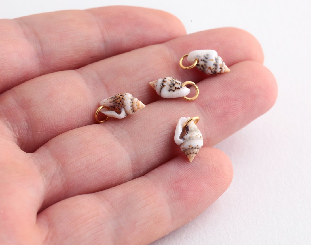 6 Pcs 6.5x12mm Shell Pendant With Conch, Electroplated Conch Rim ...