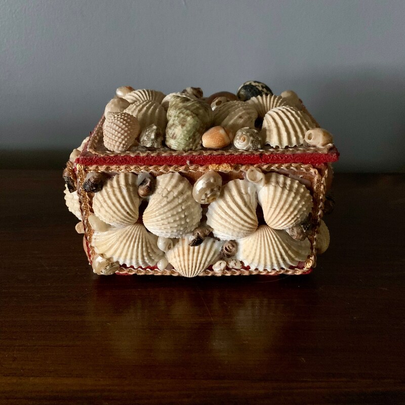 Seashell Jewelry Box - Etsy