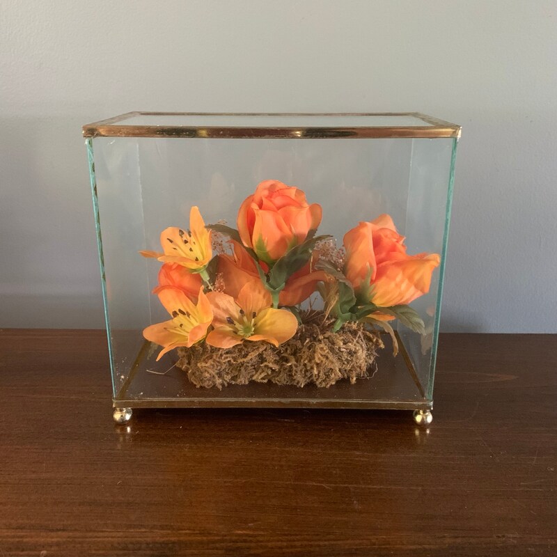 Curio Displays - Etsy