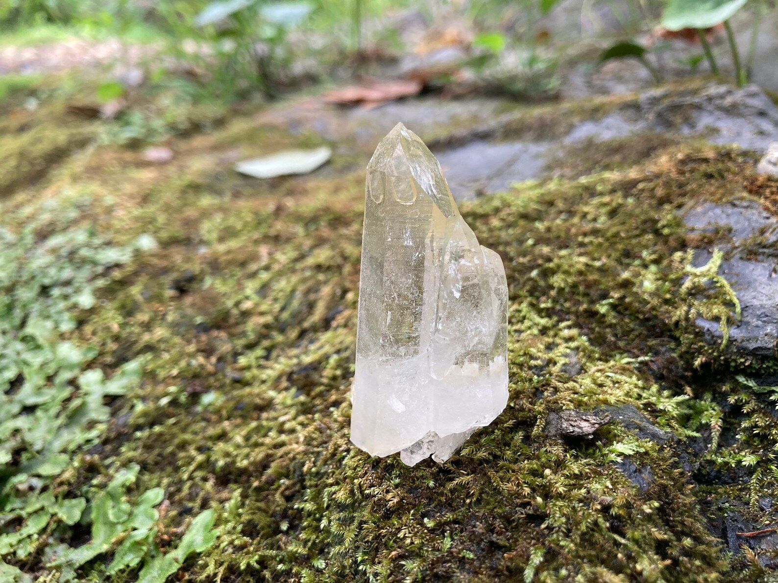 GOLDEN HEALER QUARTZ | Self-healed Crystal Point | Solaris Quartz Point ...