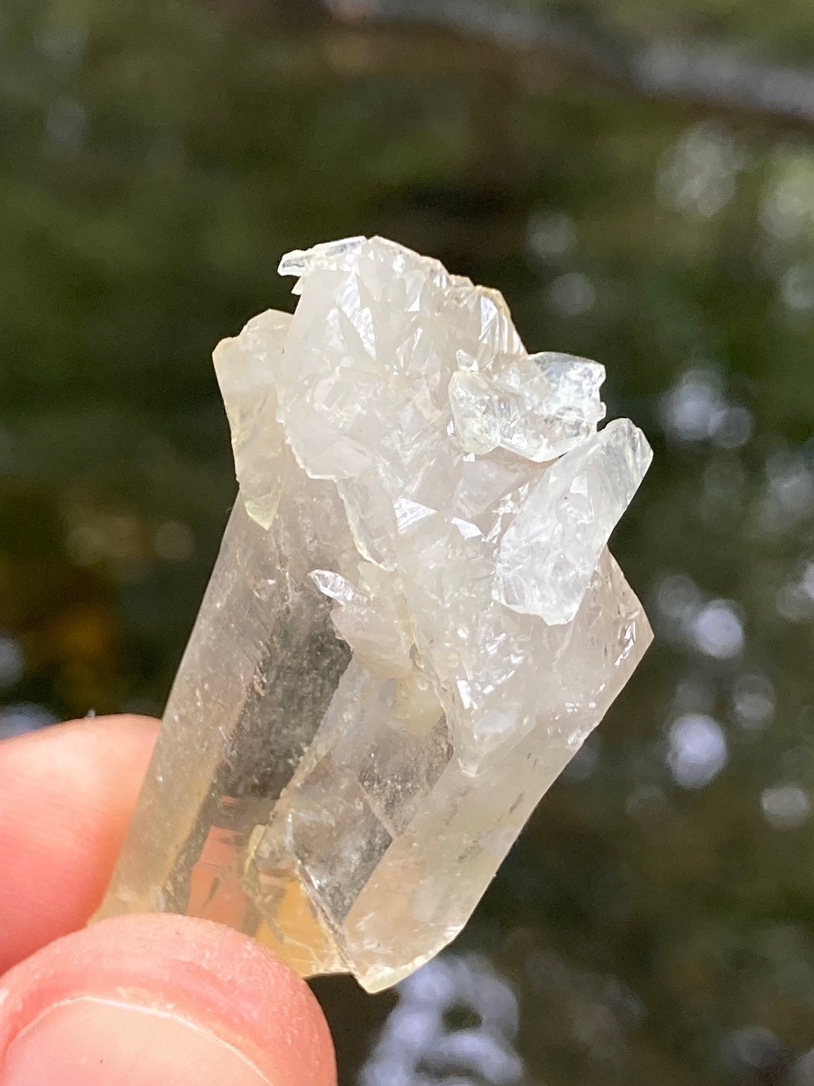 GOLDEN HEALER QUARTZ | Self-healed Crystal Point | Solaris Quartz Point ...