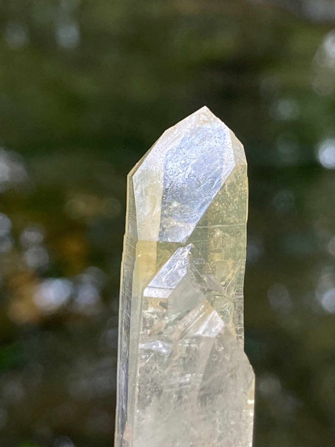 GOLDEN HEALER QUARTZ | Self-healed Crystal Point | Solaris Quartz Point ...