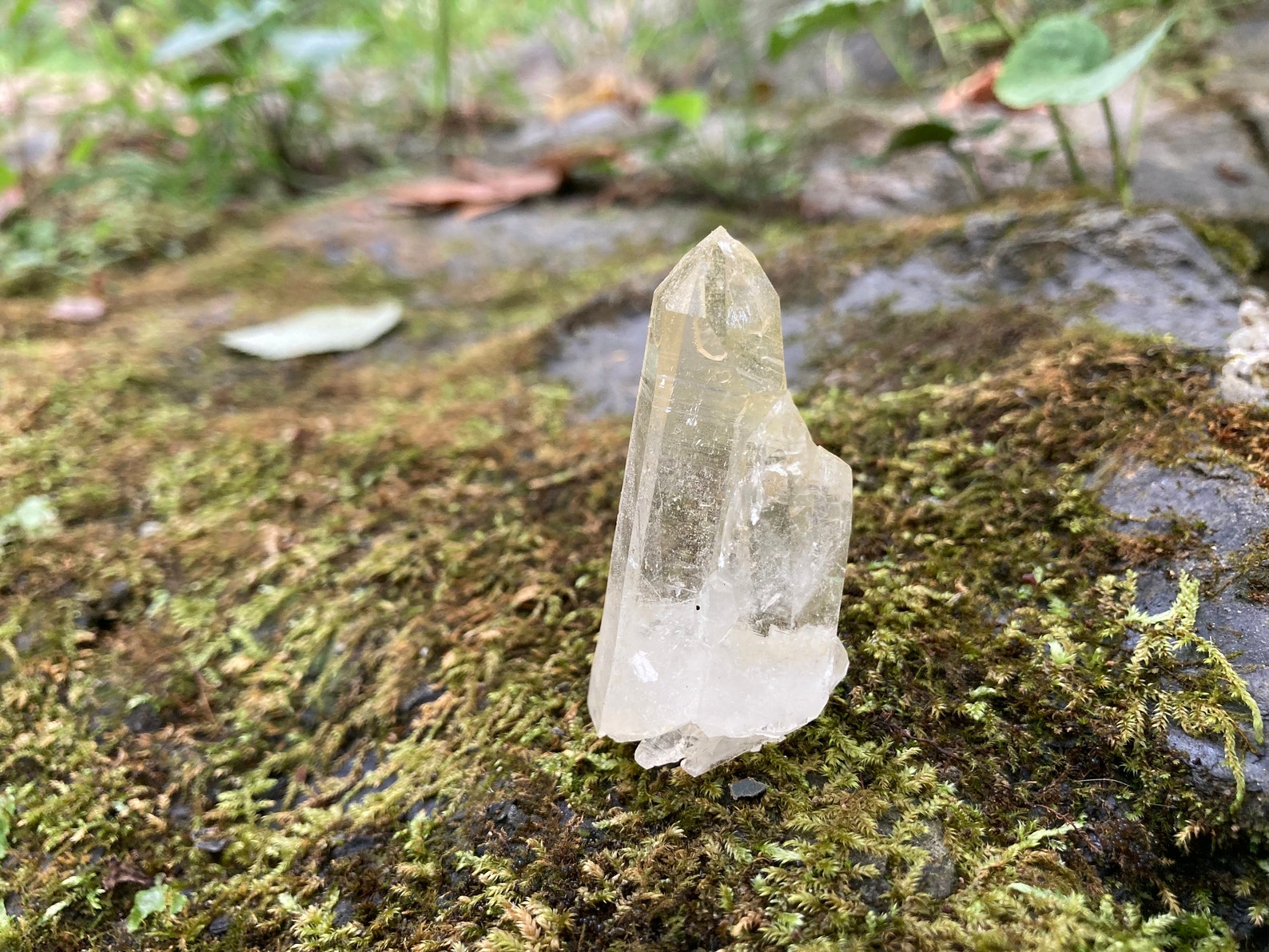 GOLDEN HEALER QUARTZ | Self-healed Crystal Point | Solaris Quartz Point ...