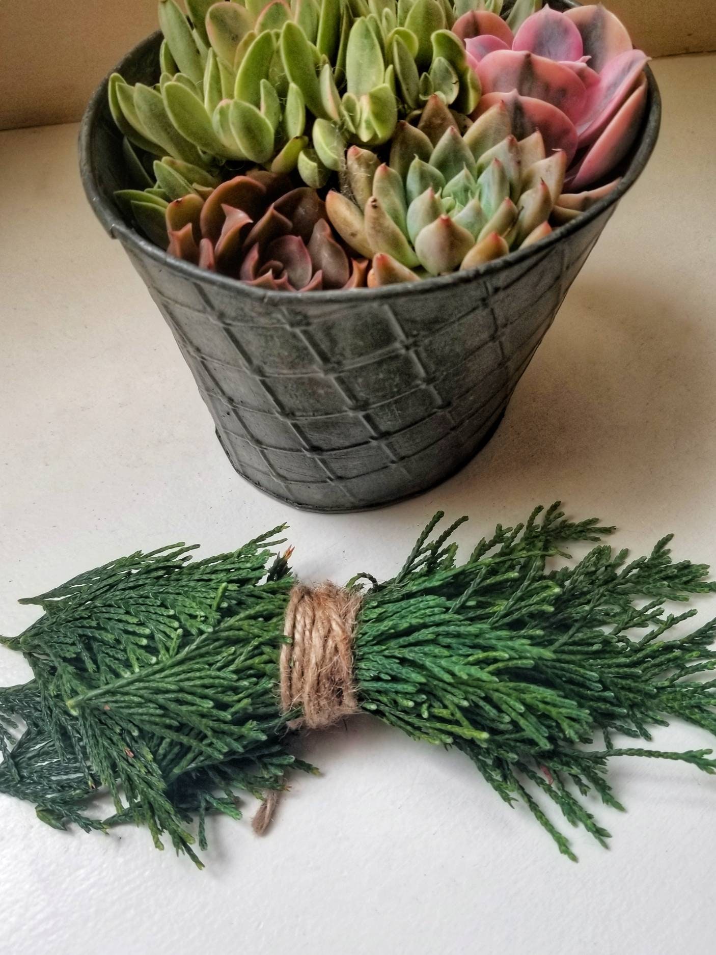 Fresh Cedar Bundle, Smudge Stick, Cedar Smudge, Cedar Stick, Meditation ...