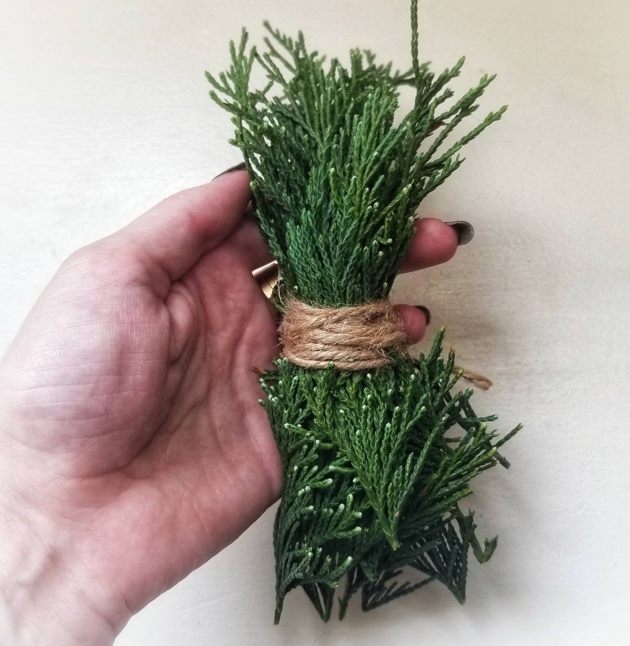 Fresh Cedar Bundle, Smudge Stick, Cedar Smudge, Cedar Stick, Meditation ...