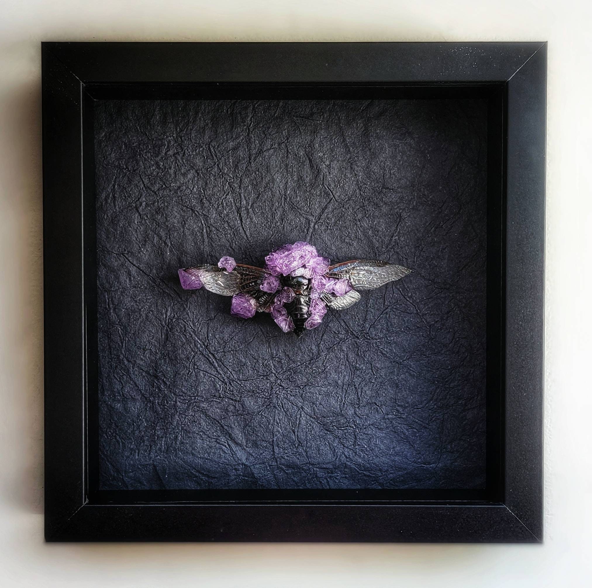 Mounted Insect Insect Gold Taxidermy Cicada Bug Crystals Crystallized ...