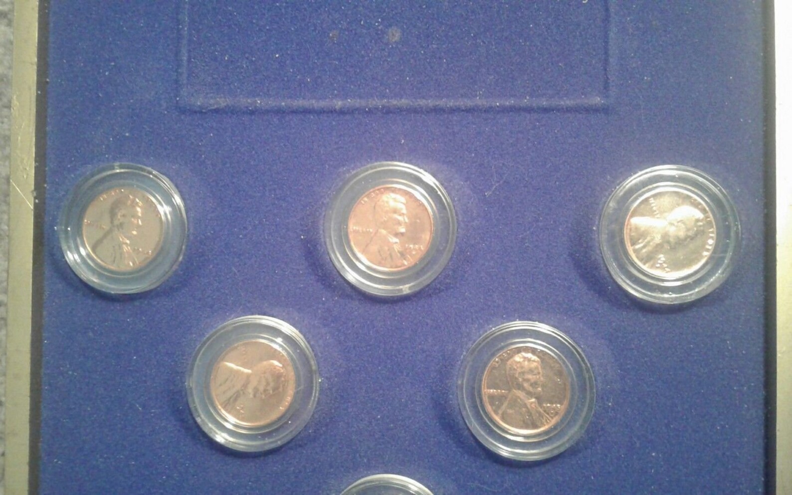 Eagle Symbol Wall Mounted Coin Display Case Partially Filled Pennies ...