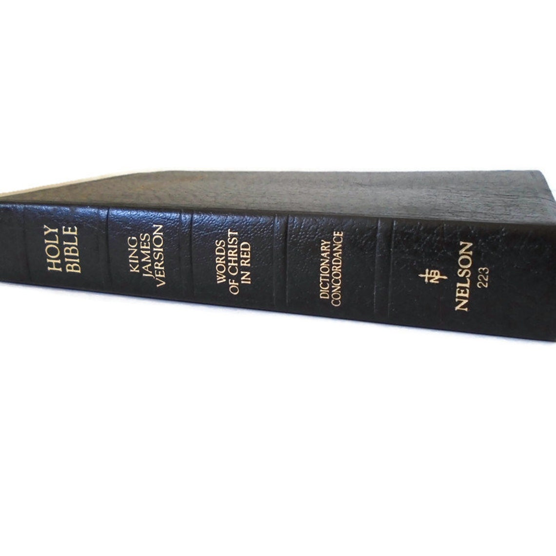 Holy Bible KJV Dictionary Concordance Nelson 223 Words of Christ in Red ...