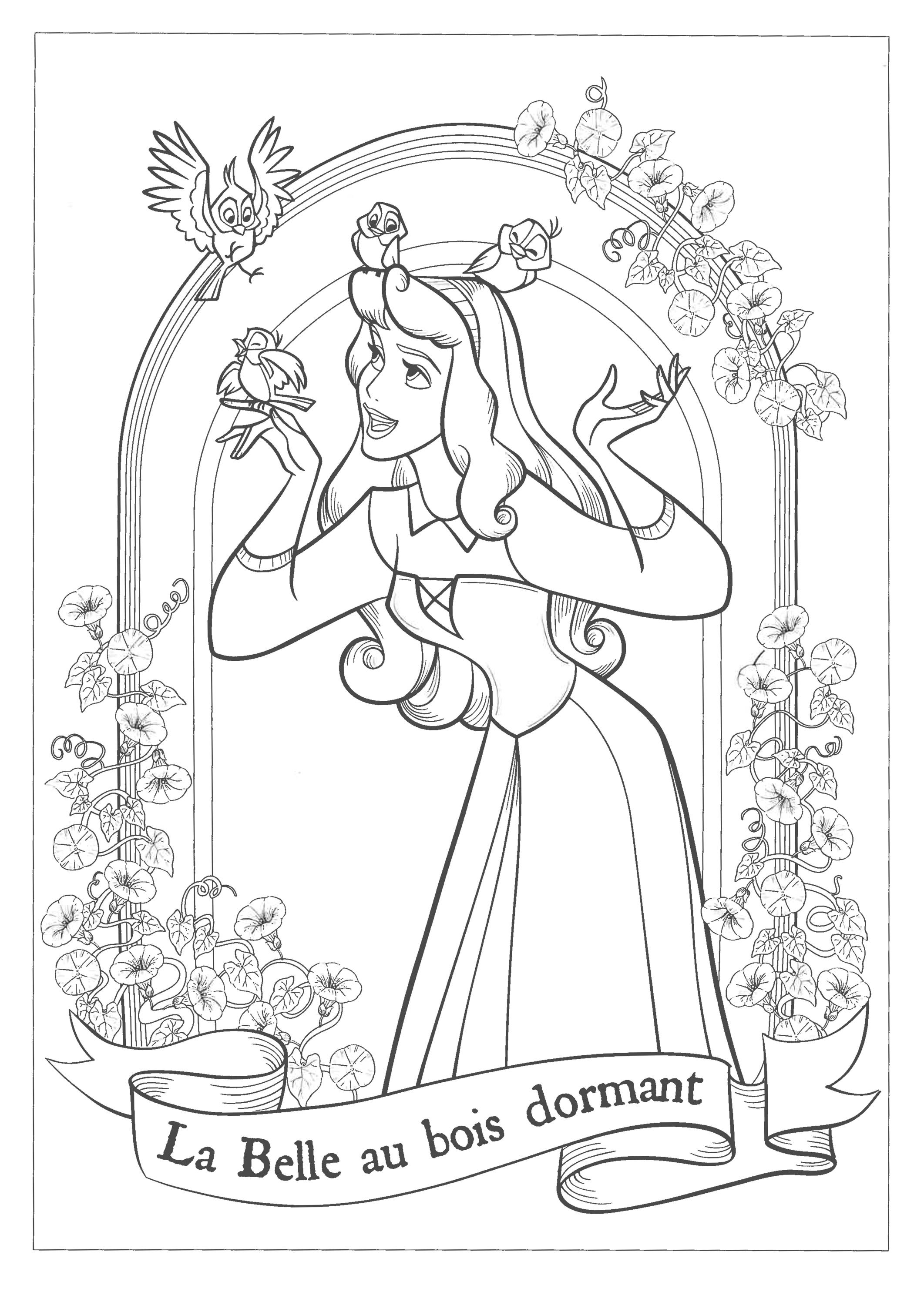 DISNEYLAND Princess Digital Coloring Sheets - Instant Download ...