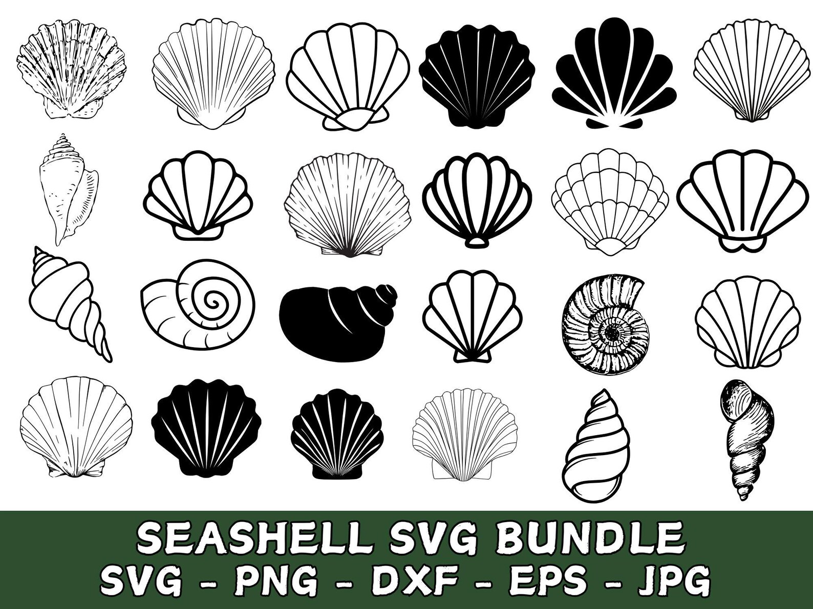 Seashell SVG Bundle: Clipart, Cut Files, Silhouette (digital Download ...