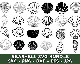Seashell SVG Bundle, Seashell PNG Bundle, Seashell Clipart, Seashell ...