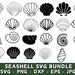 Seashell SVG Bundle: Clipart, Cut Files, Silhouette (digital Download ...