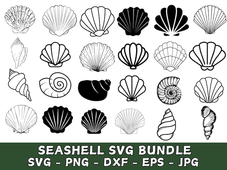 Seashell SVG Bundle, Seashell PNG Bundle, Seashell Clipart, Seashell ...