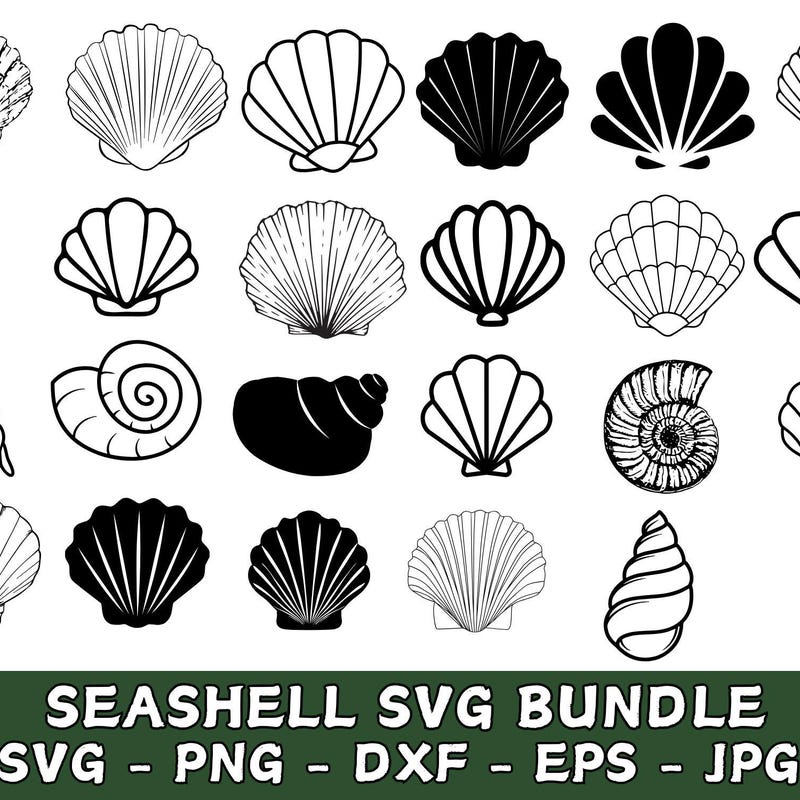 Sea Shell Svg - Etsy