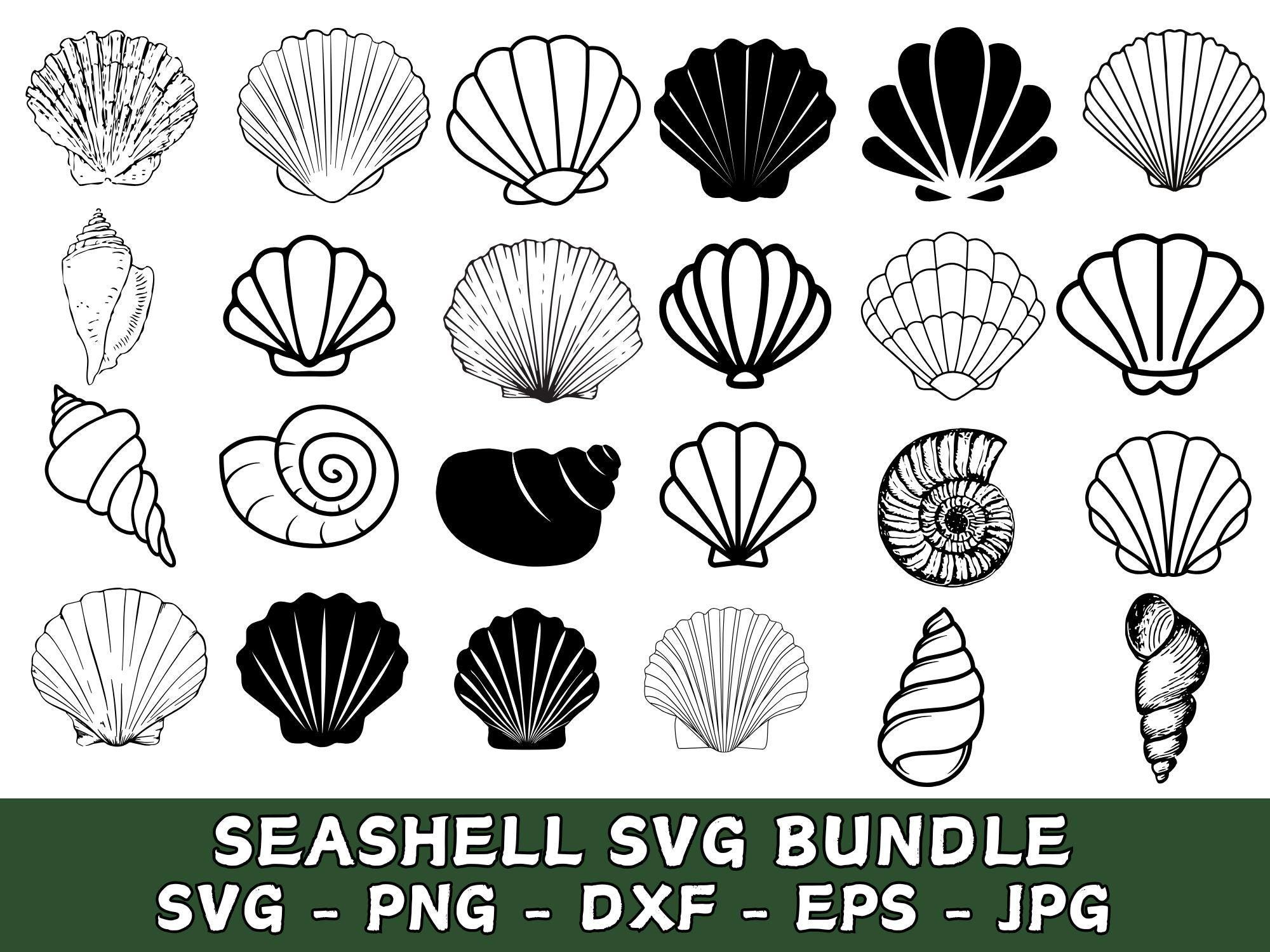Seashell SVG Bundle, Seashell PNG Bundle, Seashell Clipart, Seashell ...