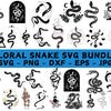 Funny Hognose Snake Svg, Anatomy of A Snake Png, Cricut Snake Clipart ...