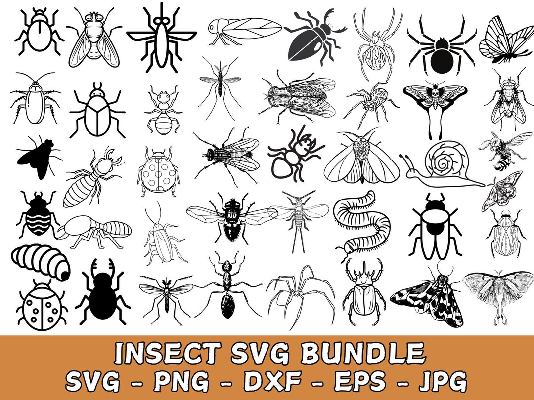 INSECT BUNDEL SVG Butterfly Silhouette Svg Bugs Clipart Bee Vector Moth ...