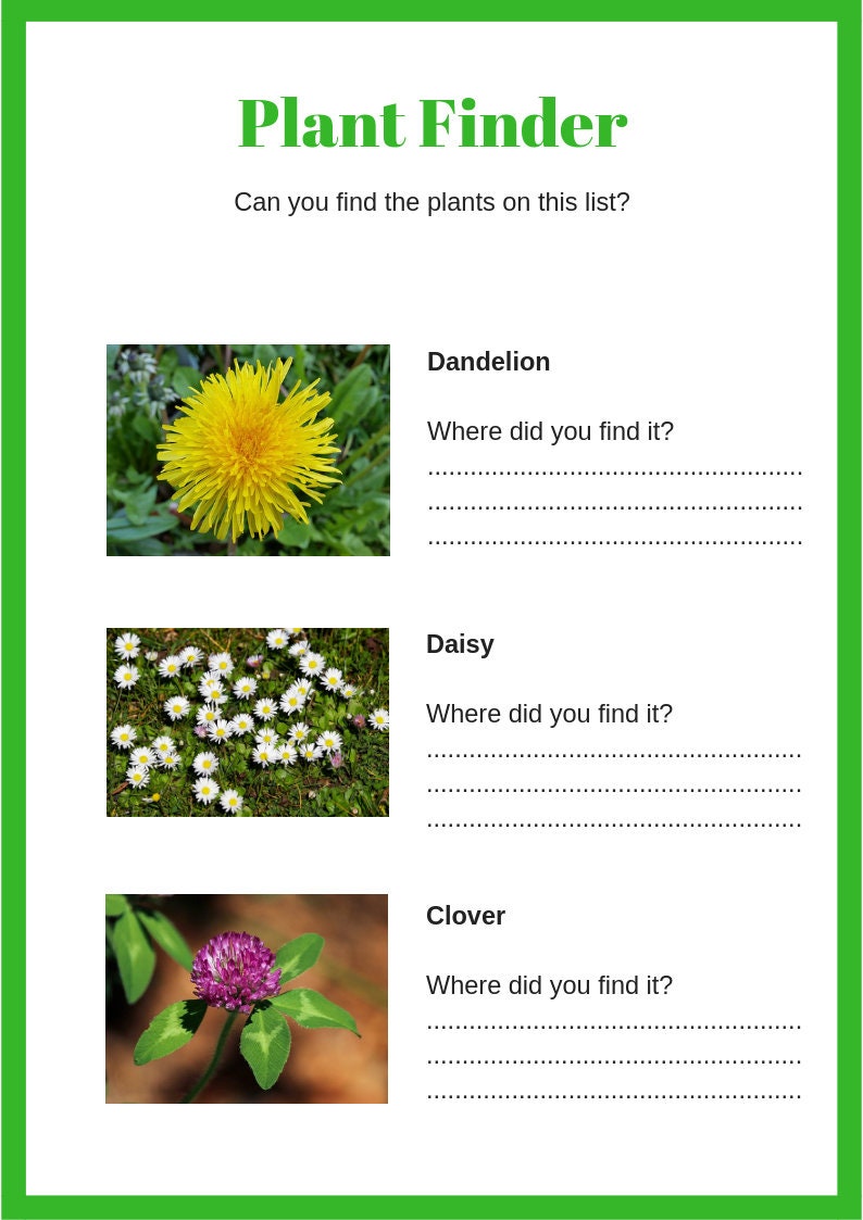 Nature and Scavenger Hunt Printable Worksheets X 28 - Etsy