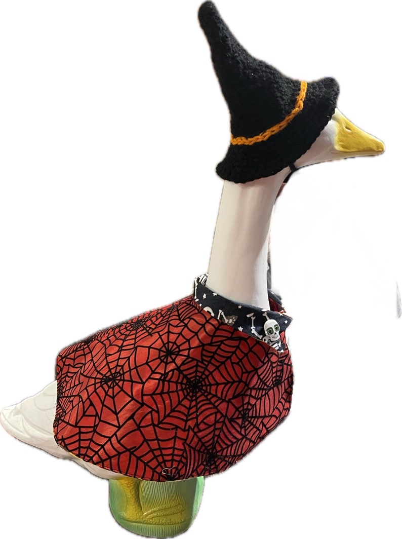 Porch Goose Cape and Hat - Etsy
