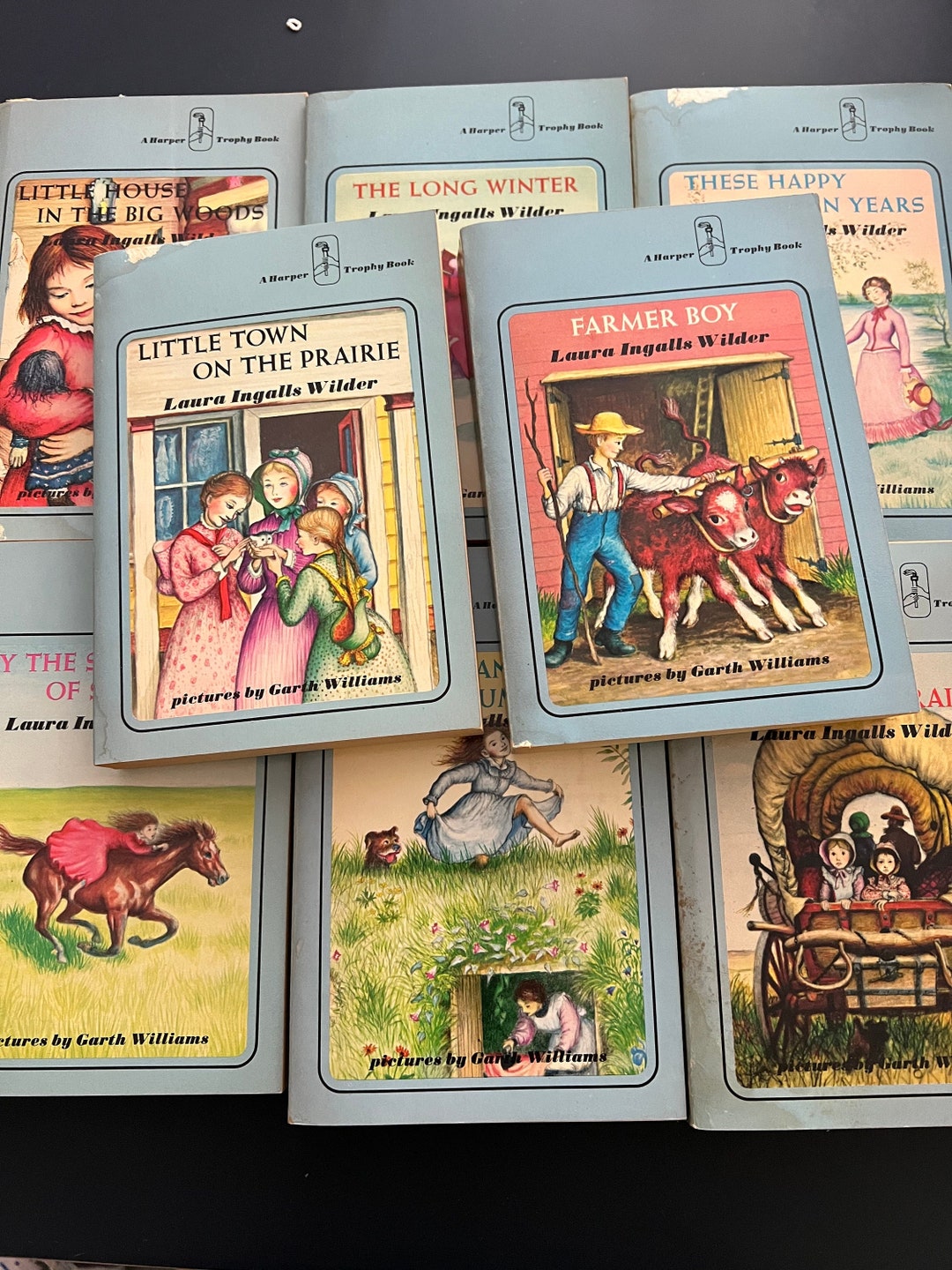 Little House on the Prairie Box Set - Etsy