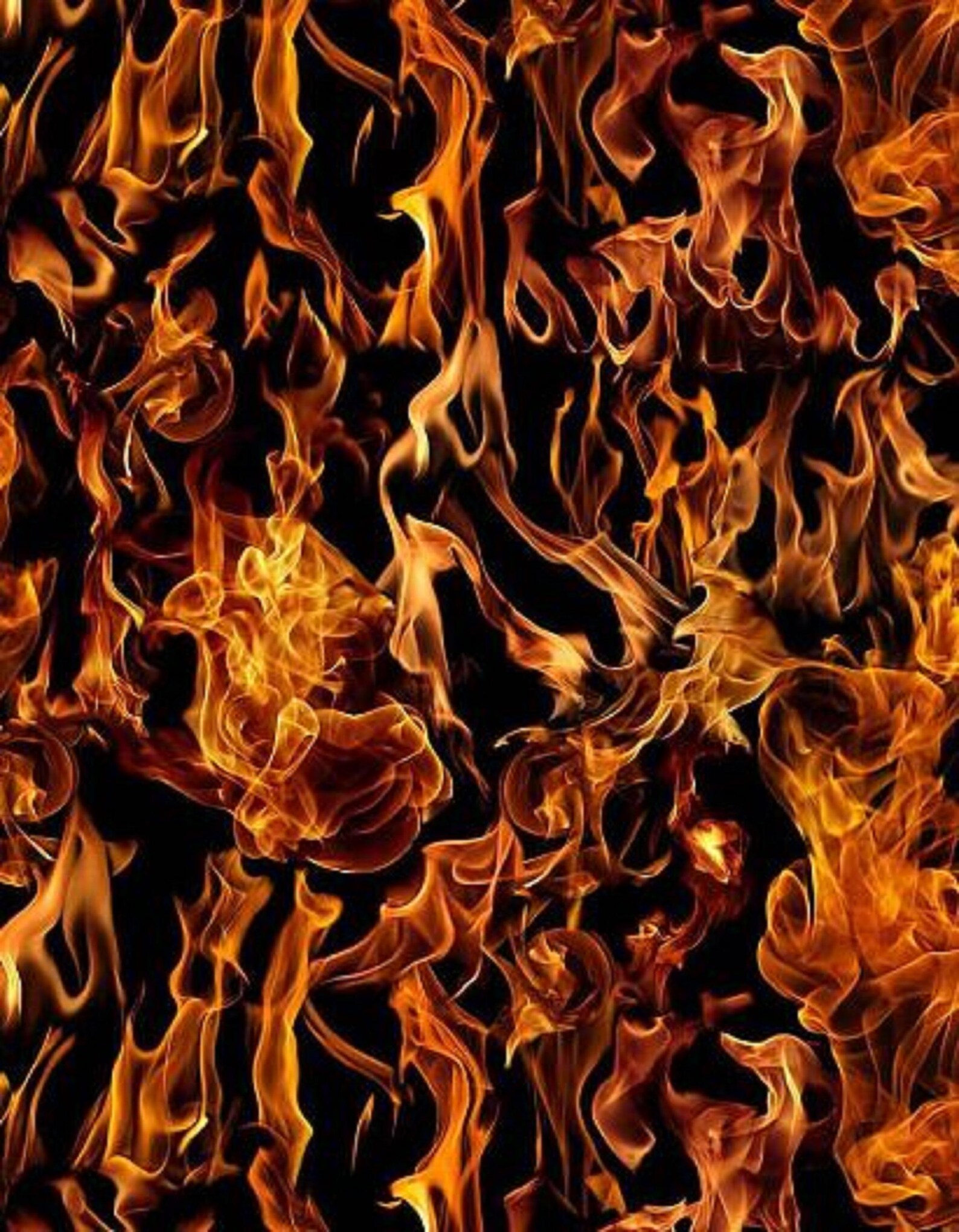 Fire Department: Flames on Black- Timeless Treasures Sold by the Yard ...