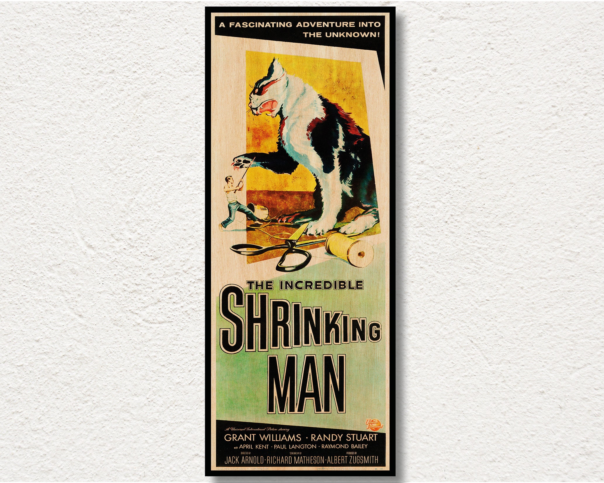 Incredible Shrinking Man