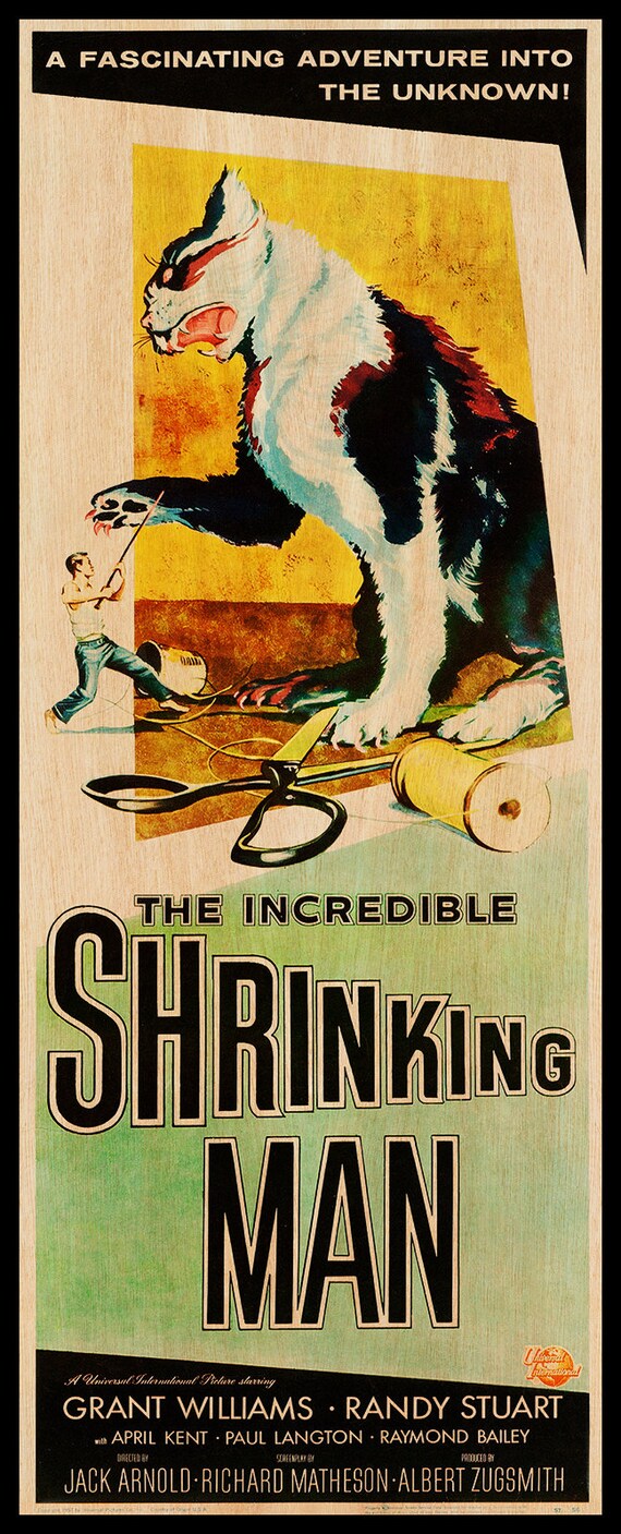Incredible Shrinking Man Poster