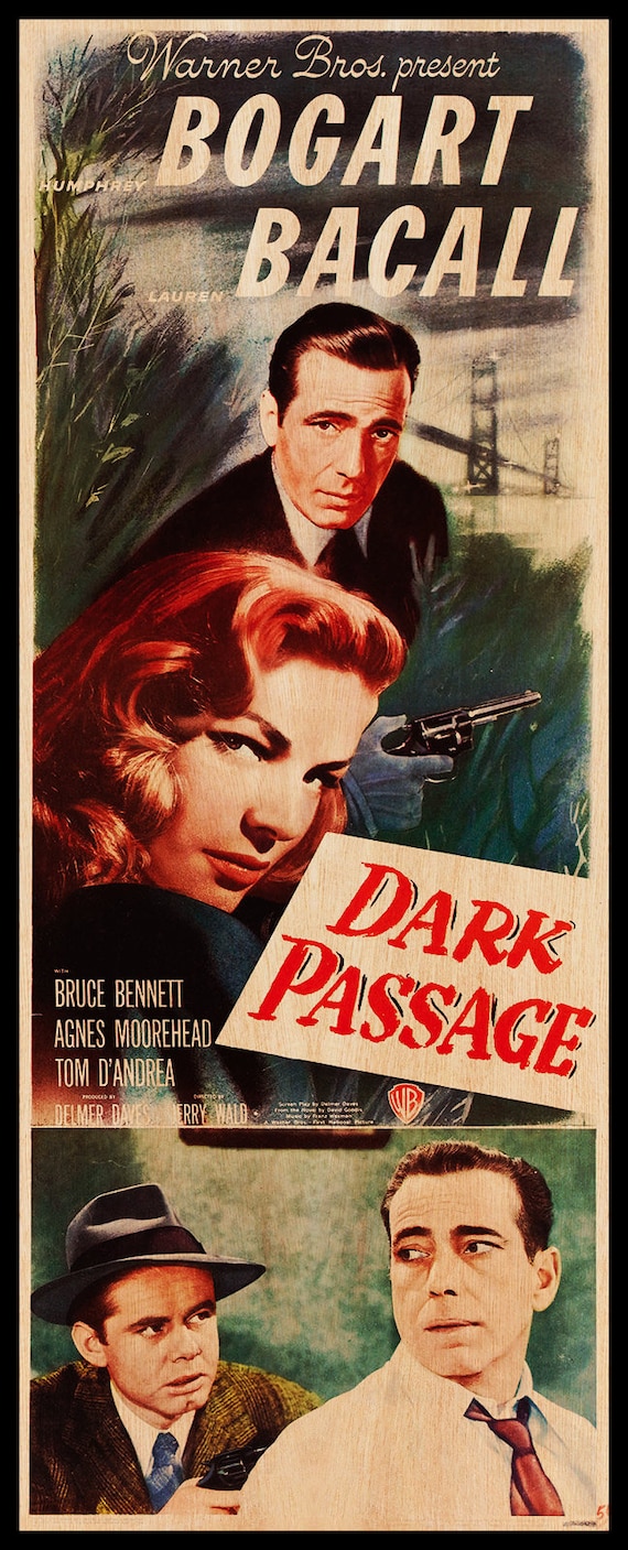 Dark Passage Poster