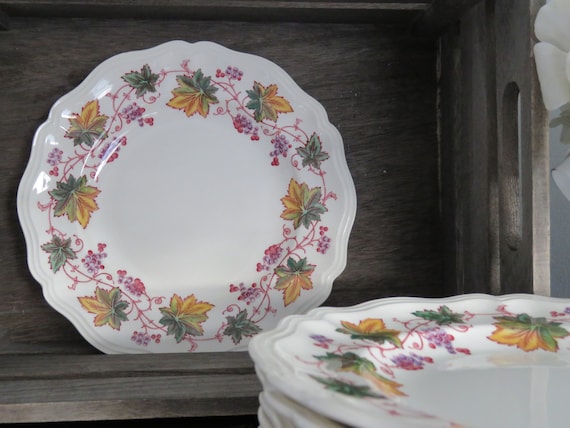 Royal Doulton Indian Summer Salad Plates Vintage Farmhouse | Etsy