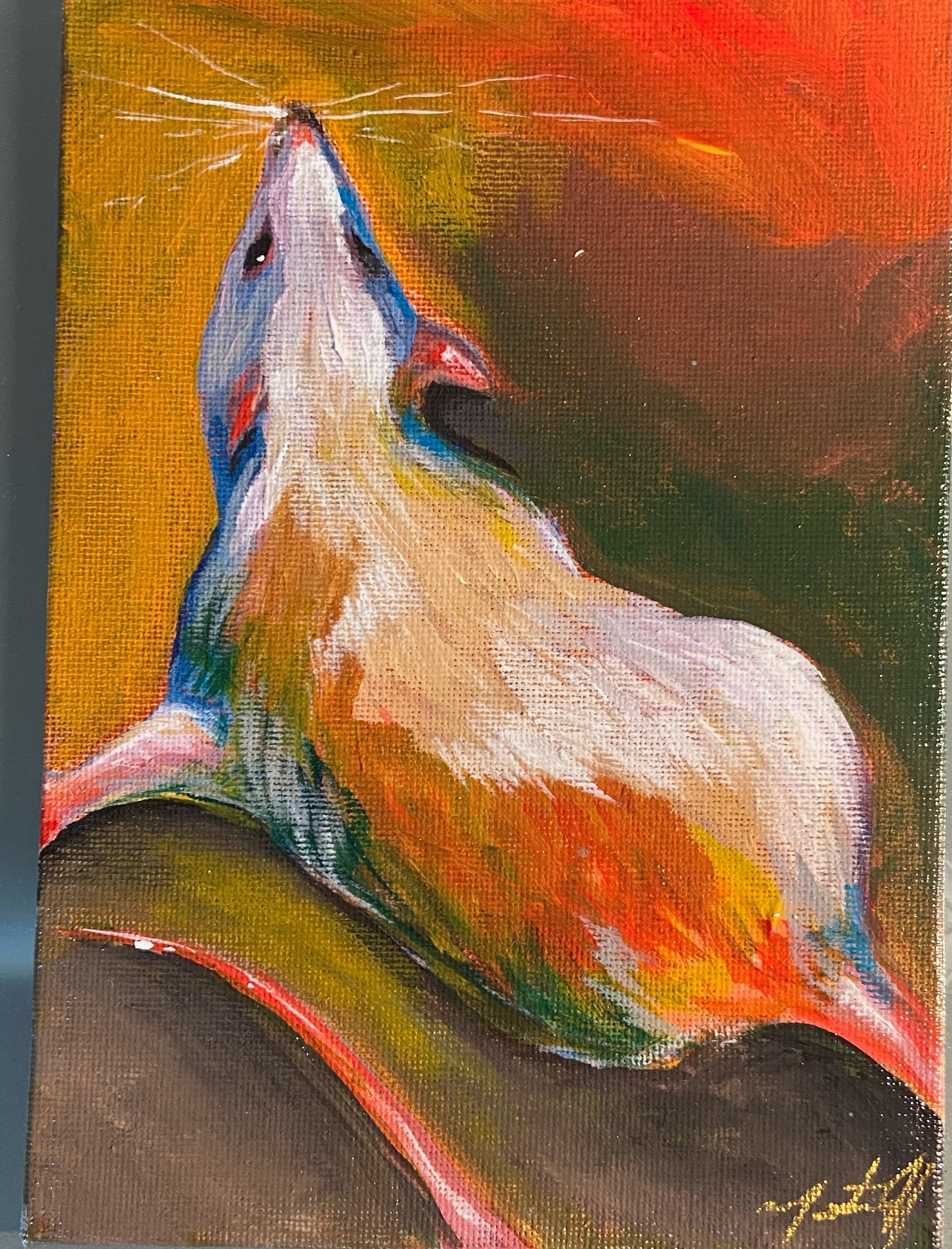 Rainbow Rat Painting 5x7 on Canvas Panel Original Artwork - Etsy